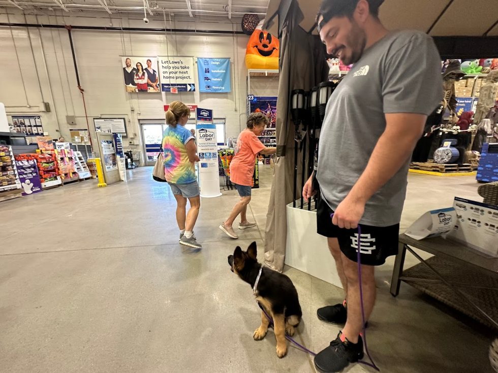 Facility - Camp Miracle Paws - Anderson, SC